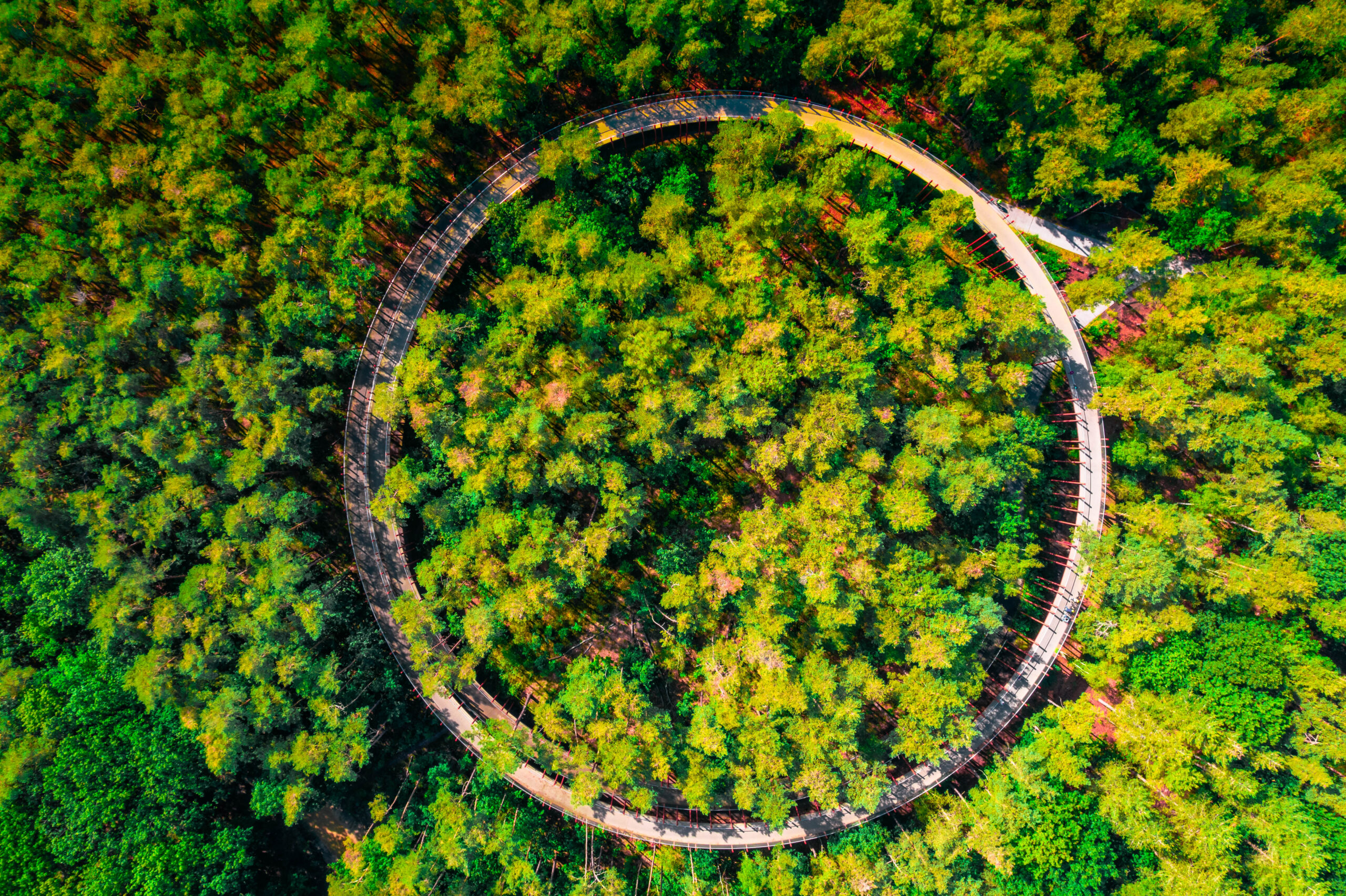 Building Bridges : Aligning Finance with Sustainability - Strengthening ...