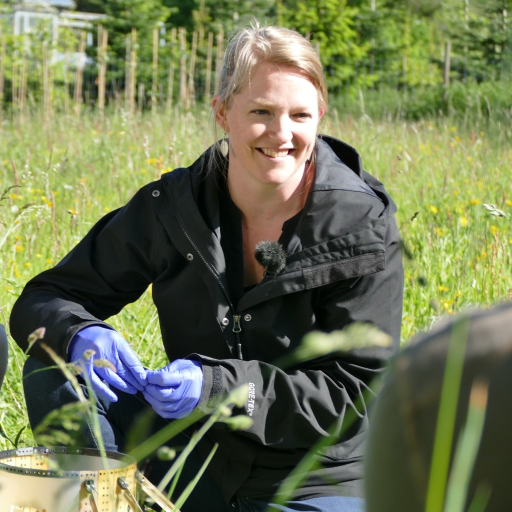 Kristy Deiner - Building Bridges
