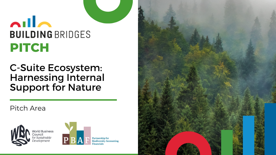 Building Bridges : Aligning Finance with Sustainability - C-Suite ...