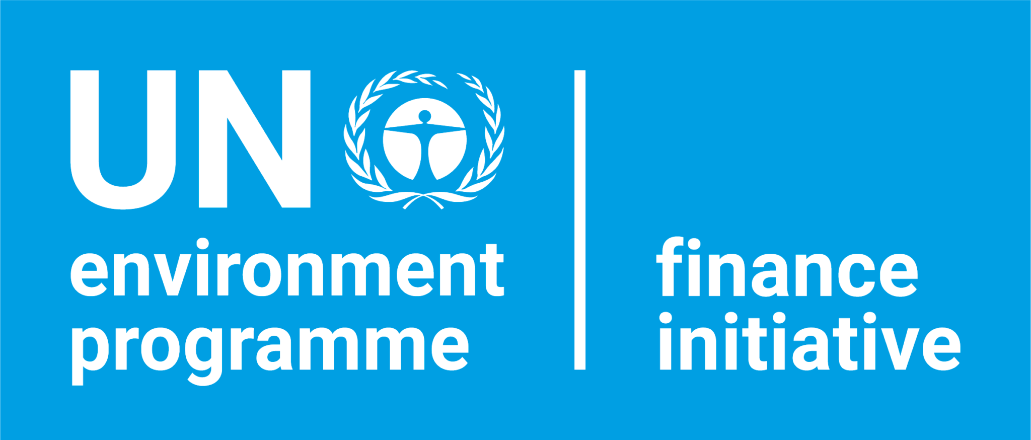 United Nations Environment Programme Finance Initiative (UNEP FI ...