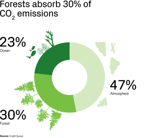 Building Bridges : Aligning Finance with Sustainability - When ...